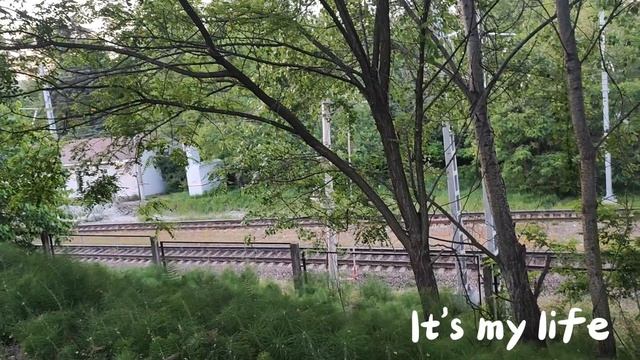 В путешествиях на поезде есть своя романтика🚊