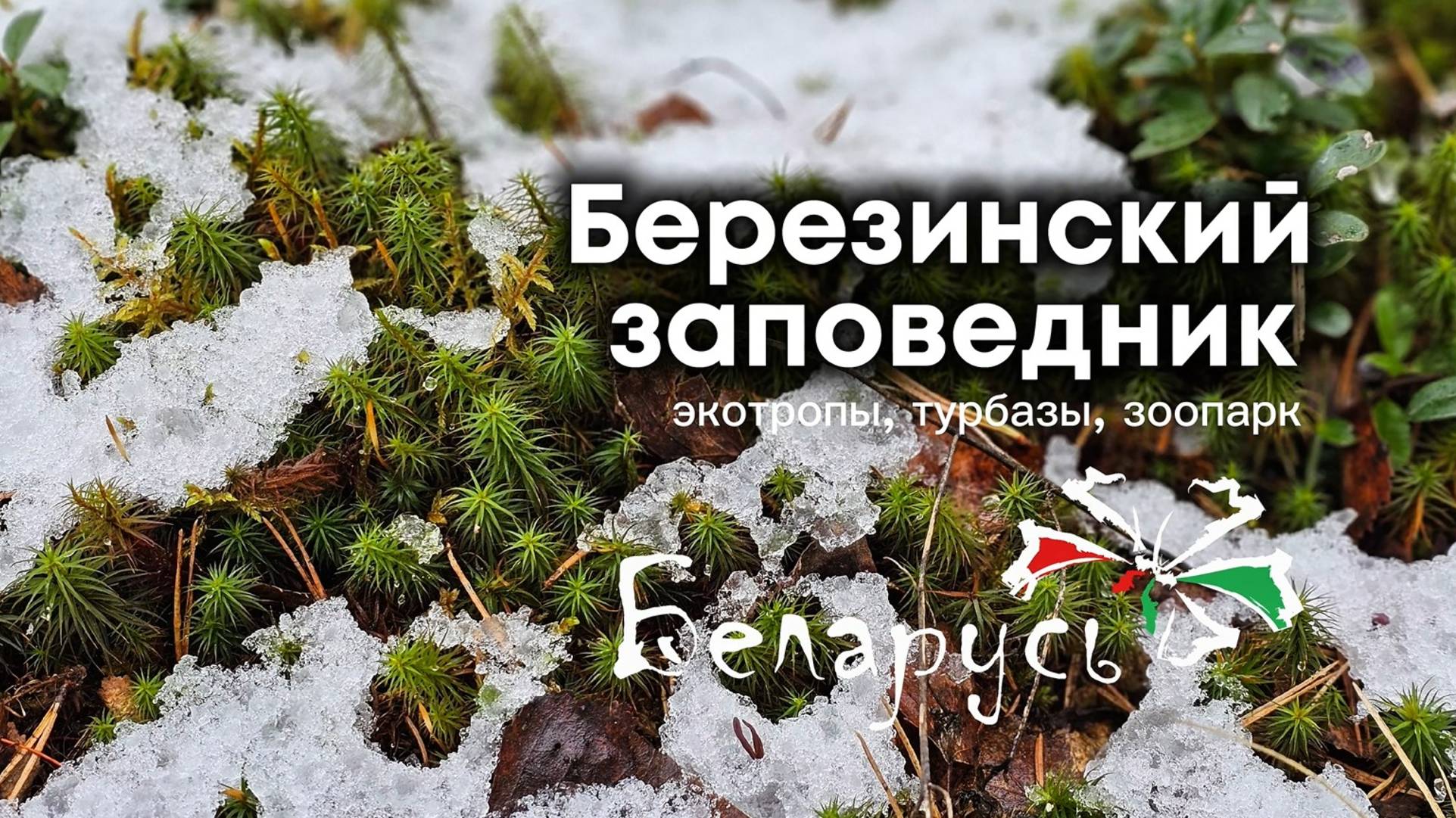 Березинский биосферный заповедник: экотропа «В краю мифов», туркомплекс «Нивки» и наливки, зоопарк