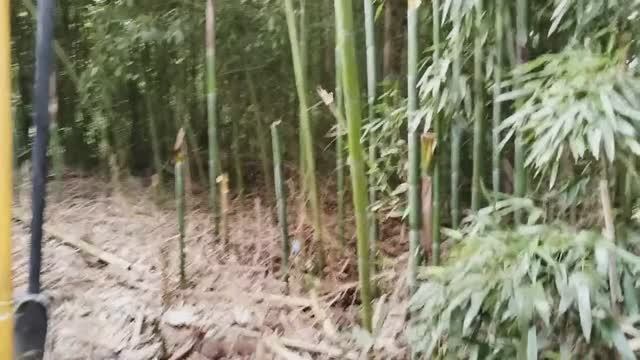 Прогулка по Сочи. Старые улочки, покупка. Вечерняя набережная.