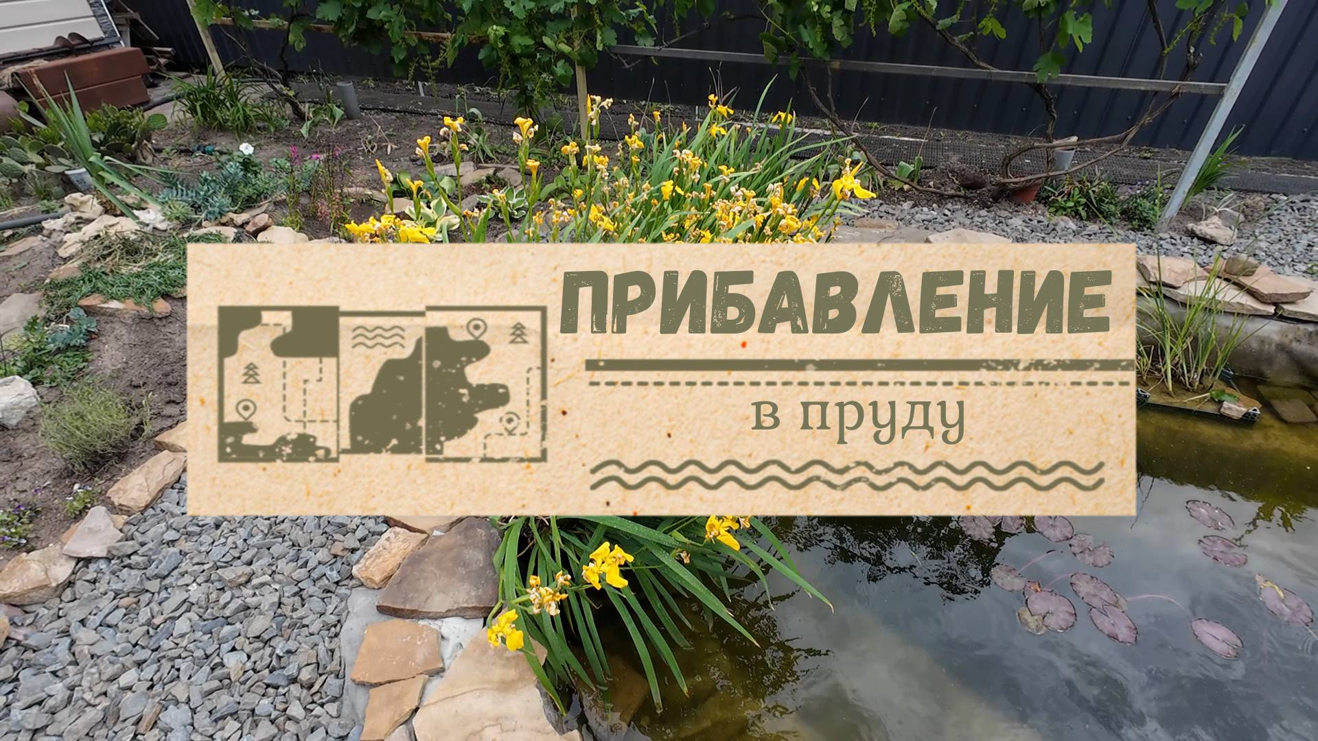 Прибавление в пруду)