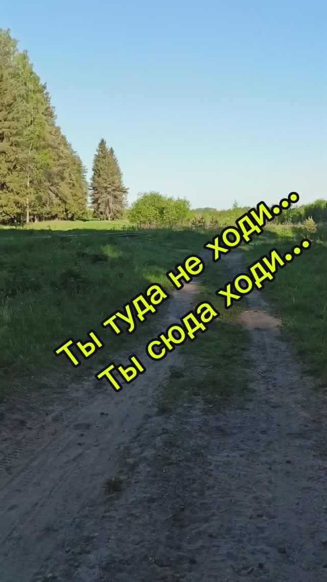 Ты туда не ходи,ты сюда ходи...