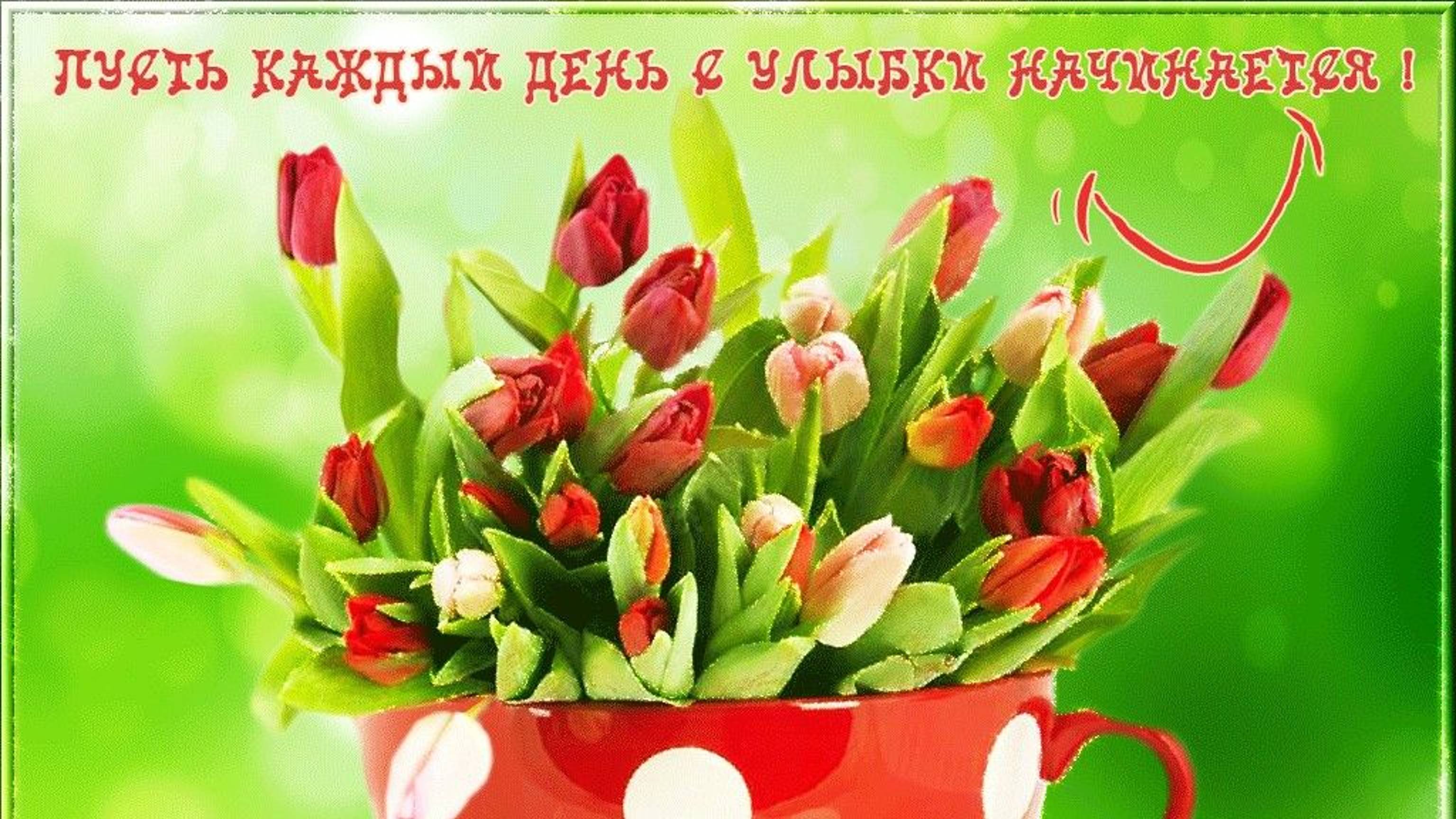 Чудесное, позитивное видео!!! Весеннего настроения!!!!