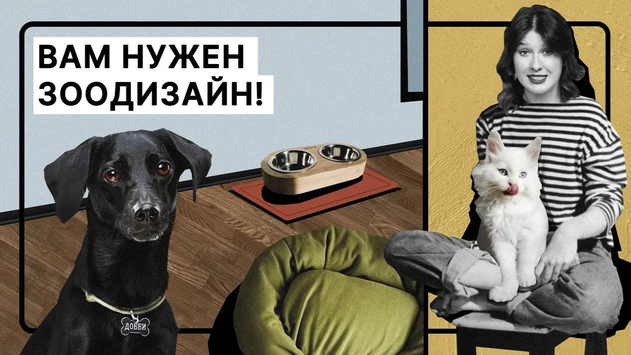 Дизайн для животных | Что это такое и зачем учитывать интересы питомцев при обустройстве жилья