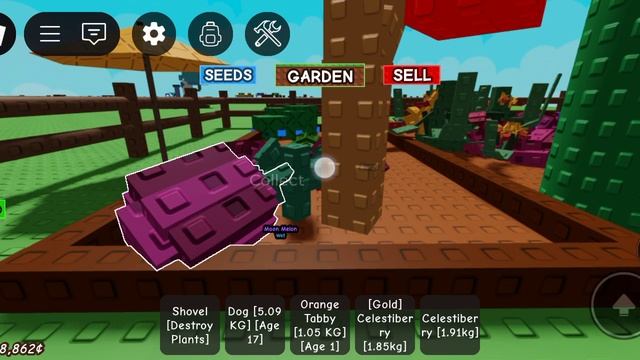 Роблокс с сайтом и старым вырастисад