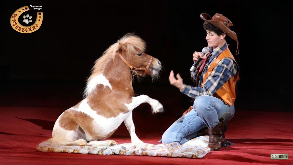 Фантик | Цирк Якубовских