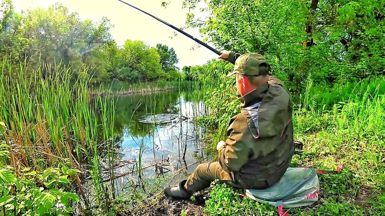 ЗАБРОСИЛ ПОПЛАВОК В ЛЕСНОЙ, ЗАТОПЛЕННЫЙ ОВРАГ.... Рыбалка на карася в мае.