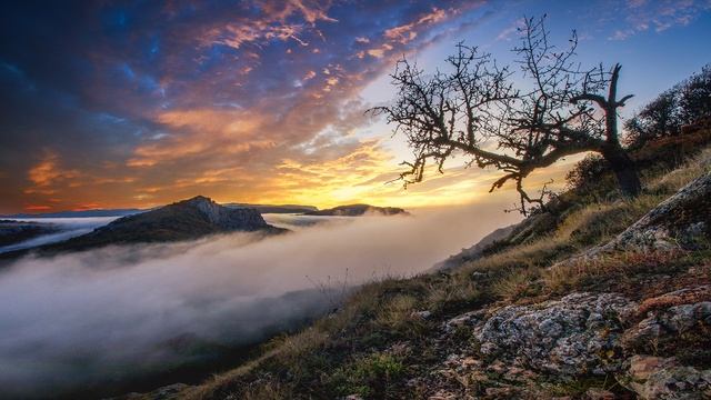 4 часа легкой фоновой музыки для умственной работы | Бинауральные ритмы для учебы