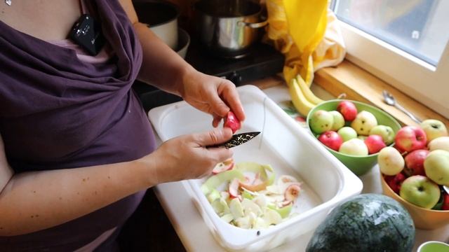 Выехали на дачу Обживаемся Как развлекаемся