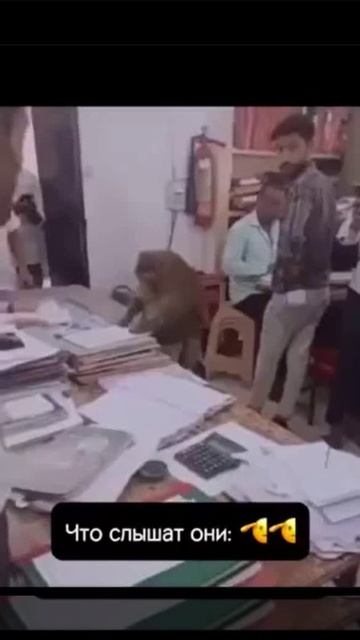 Разность восприятия