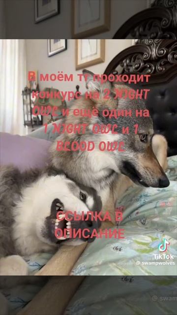 ССЫЛКА В ОПИСАНИЕ