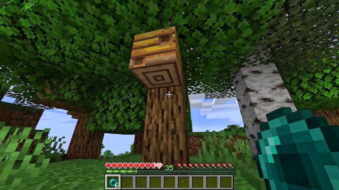 хм... что находится внутри майнкрафтского улья?