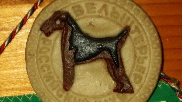 Майский Фестиваль Вельш терьеров