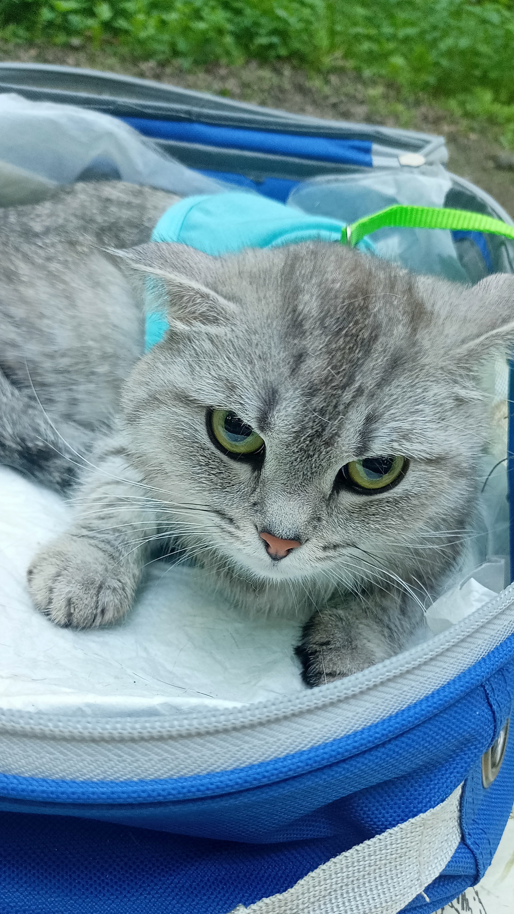 😥У нас отключают часто интернет 😥/
Ко всем зайду взаимно,при каждом включении интернета!🙏🏼