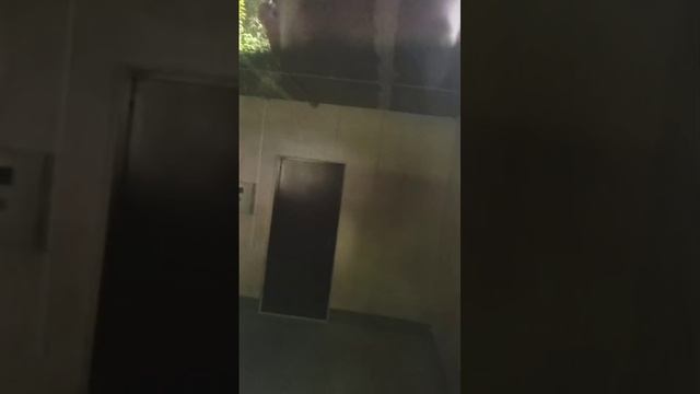Дом страха Часть 2