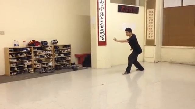 Хай Ян. Учебное видео 12 форм синъи