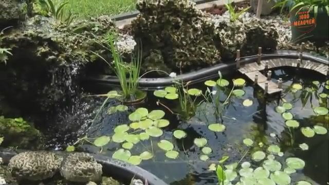 Как дешево сделать прудик в саду из доступных материалов.