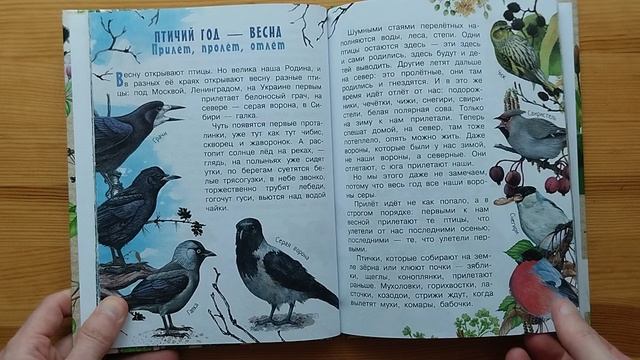 Красочная книга "Наши птицы" (В. Бианки)