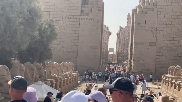 Храм Амона. Луксор. Египет.