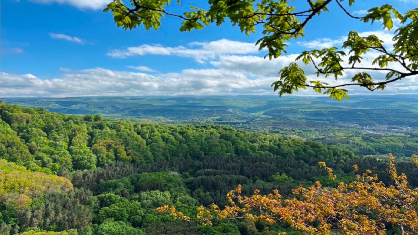 Особенности путешествий у эмпатов/ВЧЛ. Кисловодск 2025. Эфир VK от 28.05.2025