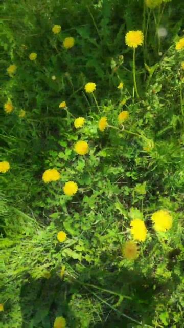 Обучение молодёжи видеосъёмке и монтажу видео в рамках федерального проекта «Гений места».