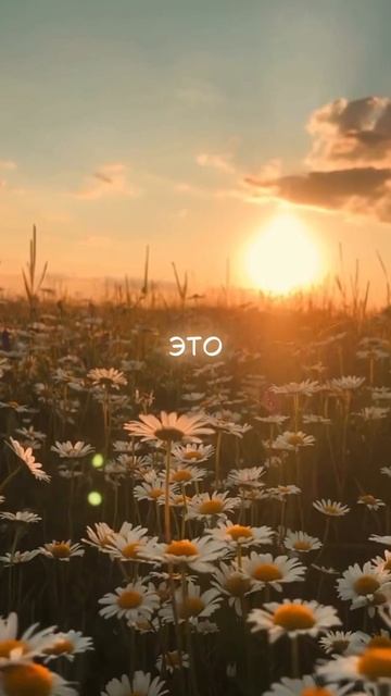 Присутствие неделимости #семинар #пробуждение #просветление #реализация #SaiPrana #shorts #reels