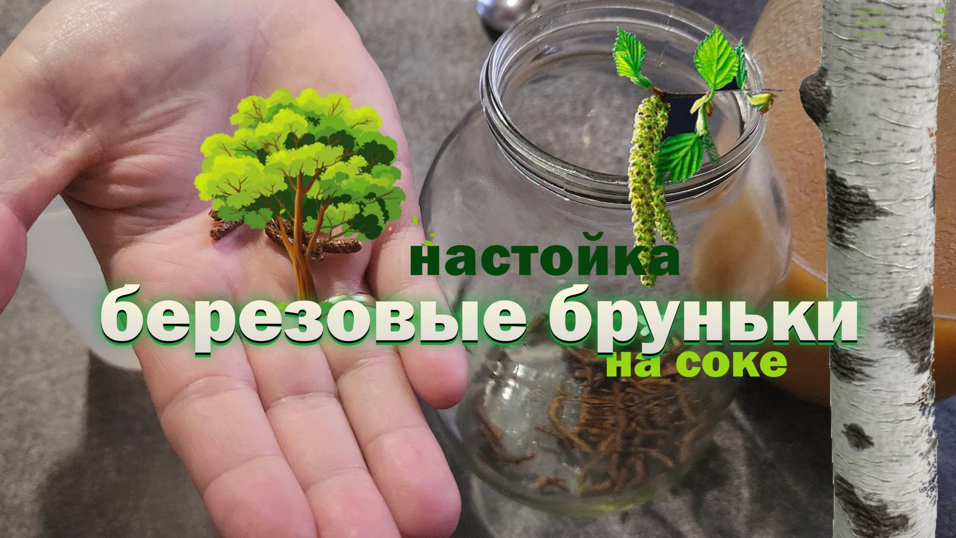 Настойка на березовых бруньках и соке