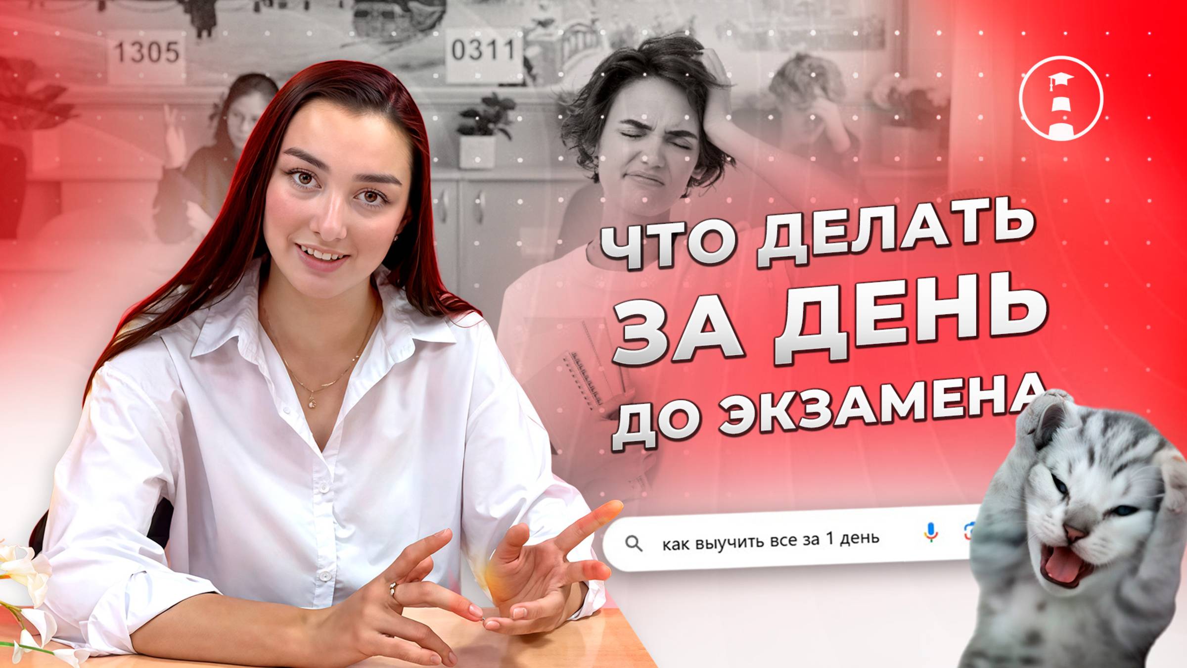 Что делать за день до экзамена? | ЕГЭ | ОГЭ