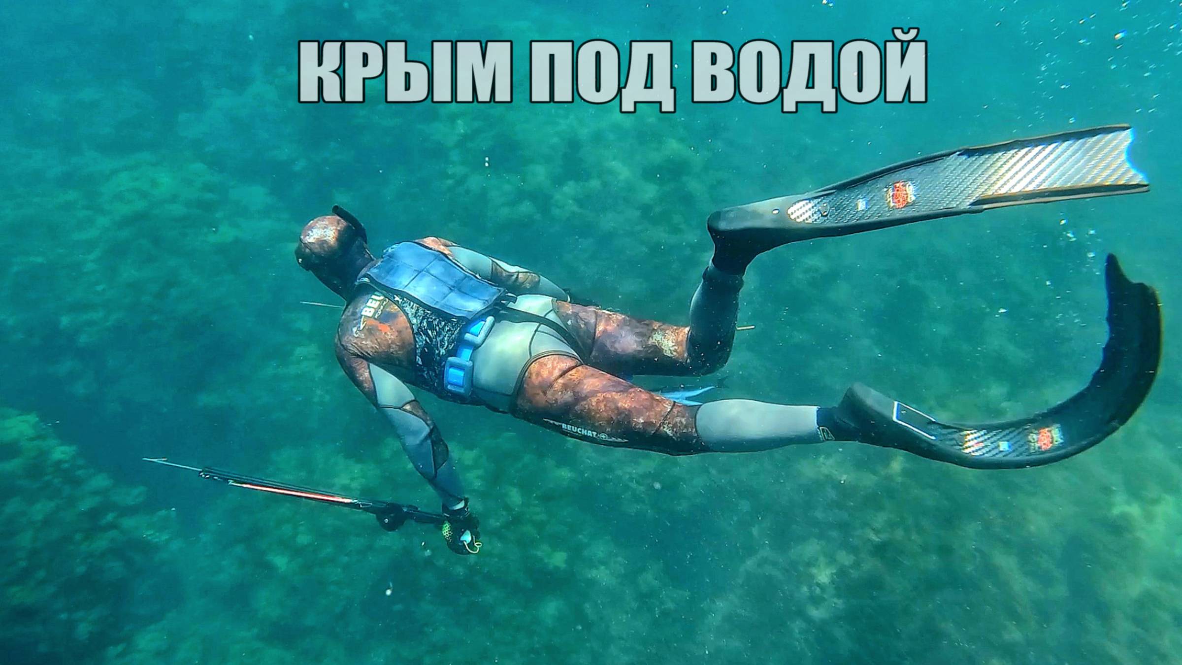 Подводная рыбалка, охота в Крыму. Прозрачная вода, много рыбы и крабы. Сезон 2025.