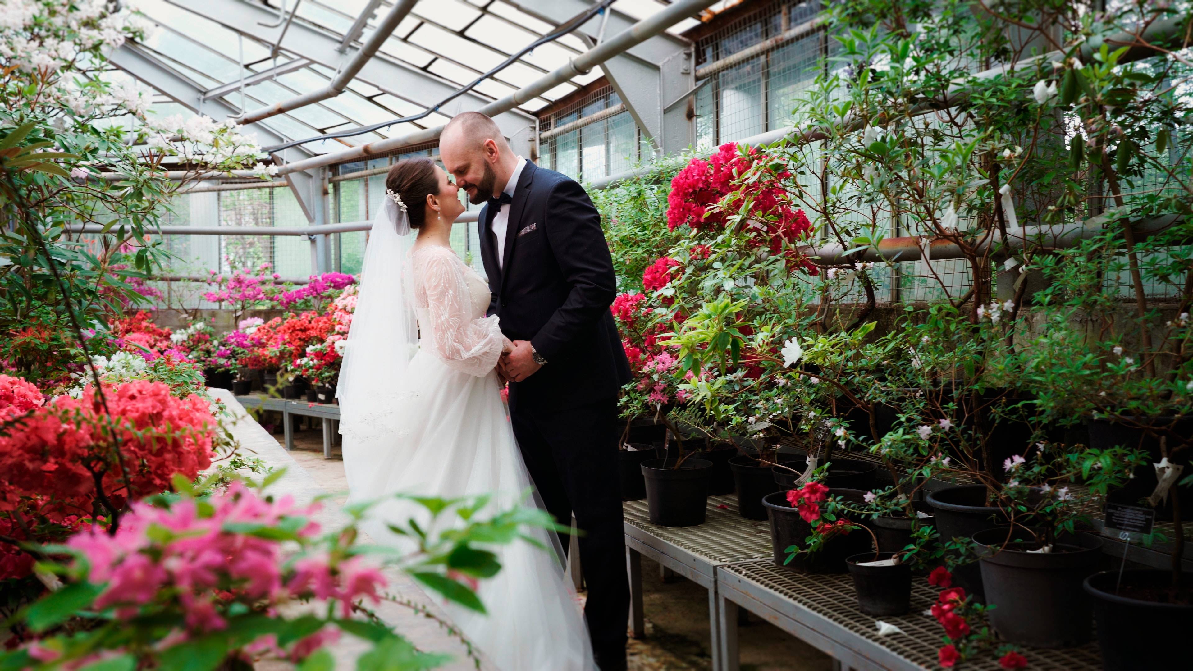 Свадебный клип Алексея и Ксении | 27.04.2025