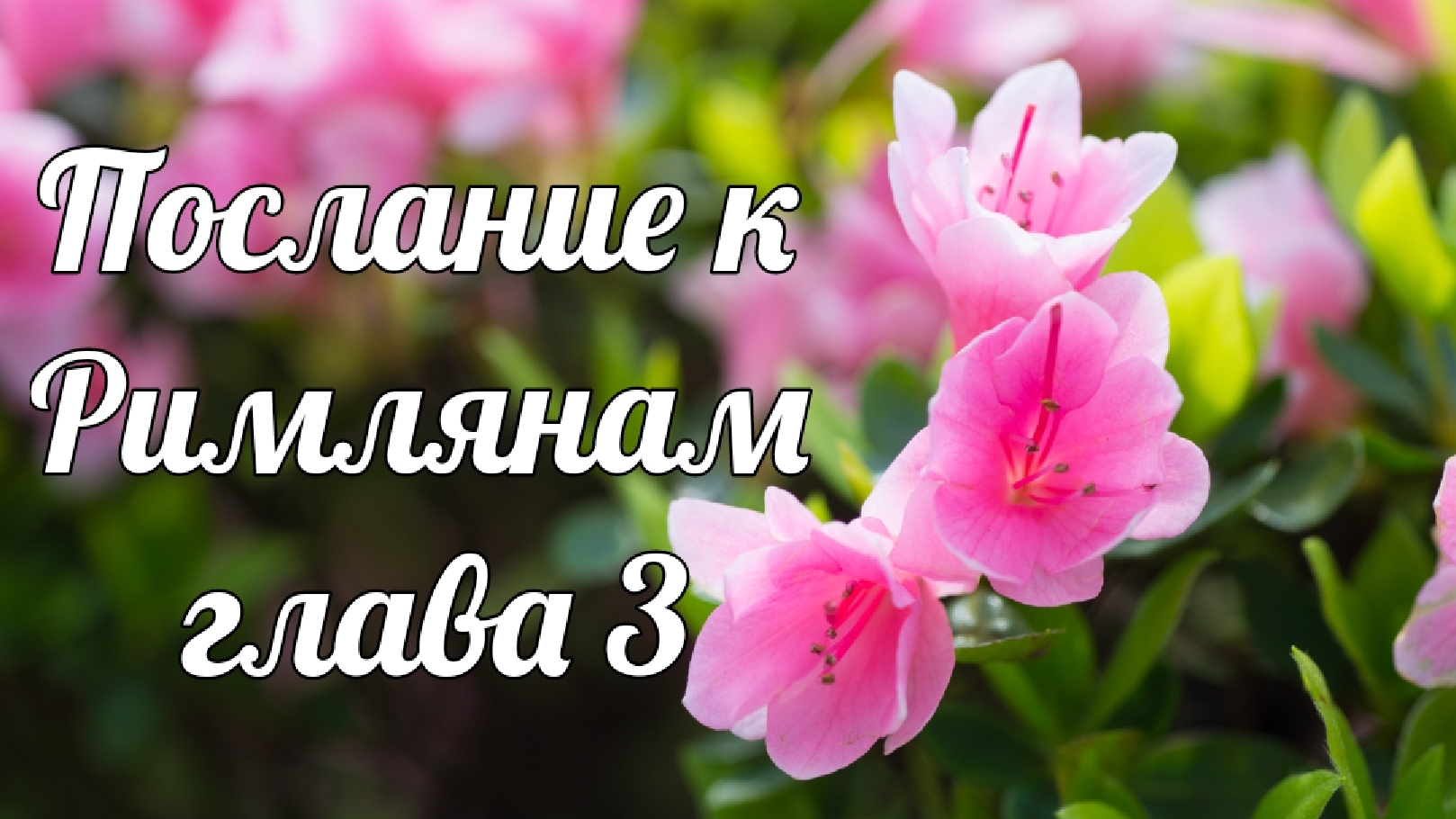 Послание к Римлянам глава 3