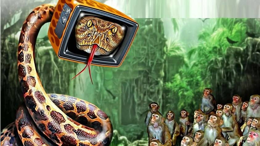 Общение с братьями Славянами Чат Рулетка