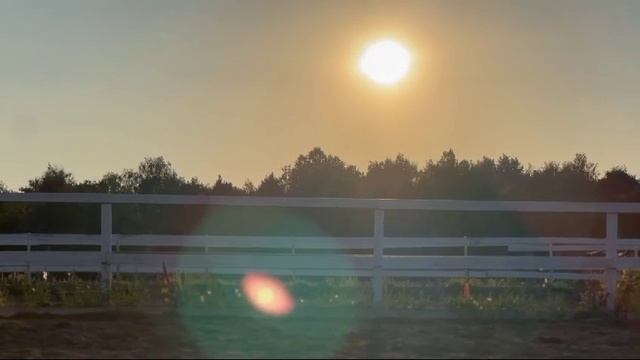 Шикарный закат и лошади