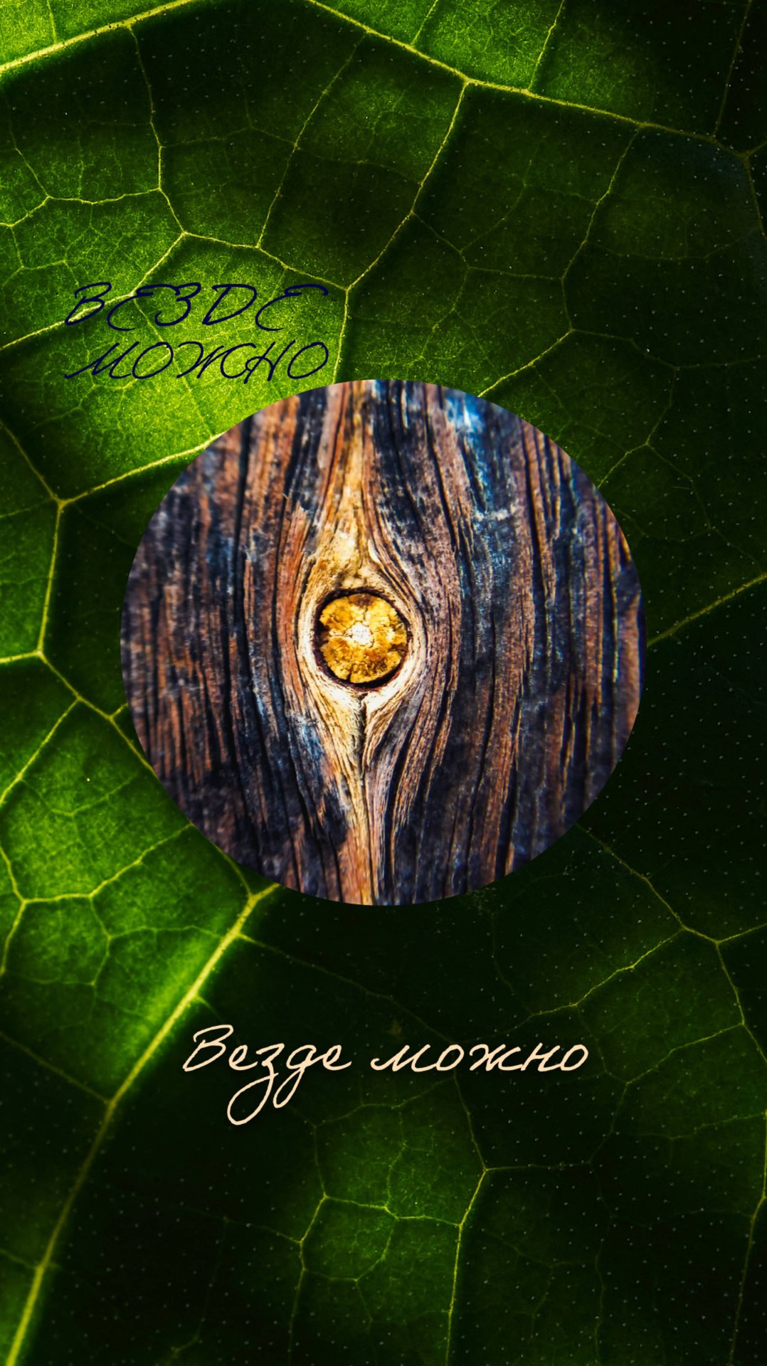 Везде можно #shorts