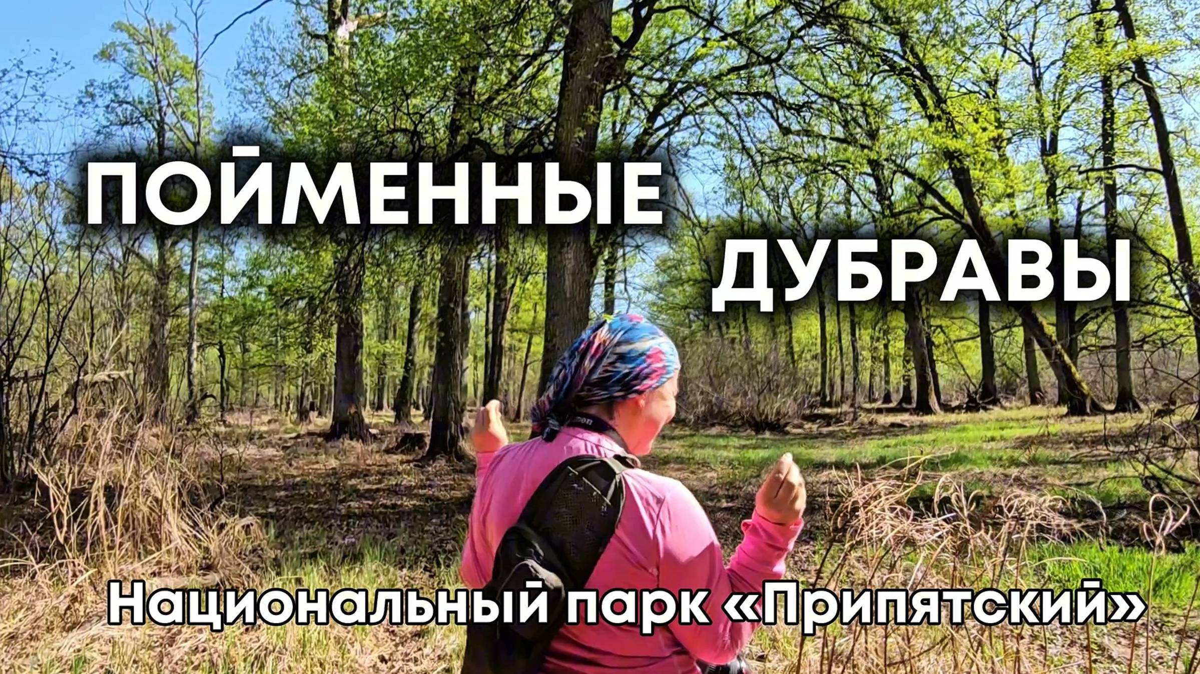 Экскурсия по пойменным дубравам Полесья