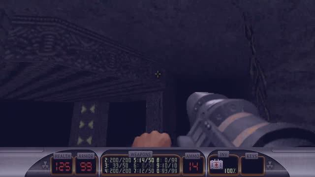 Duke nukem 3D The birth part 2