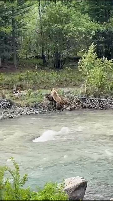 ОНАЖЕМАМА 😁 1000049235.mp4