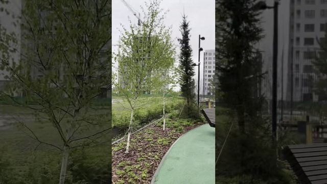 Обзор ЖК Мотивы в дождливой Тюмени  #новостройка