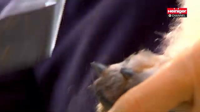 SaphirStyle SaphirCord by Heiniger