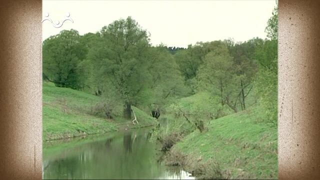 Портрет. Тарусские дали. Константин Паустовский