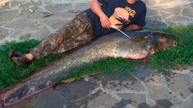 Наша рыбалка(Клип.Песня)