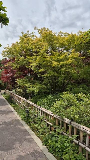 Краснодар. Японский сад в парке Галицкого.