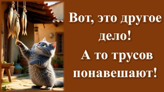 ЮМОР, ПОЗИТИВ