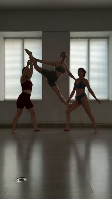 Воздушная акробатика