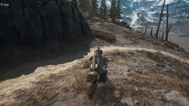 Days Gone Орда с горы Бейли (Выживание 2)