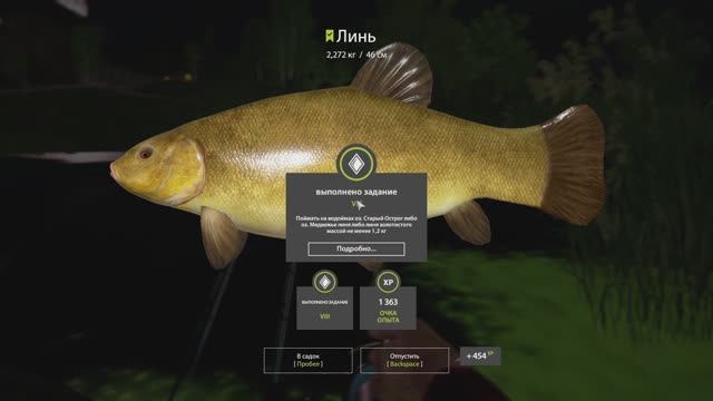 Русская Рыбалка 4-Задание: Линь от 1.2 кг оз. Старый Острог