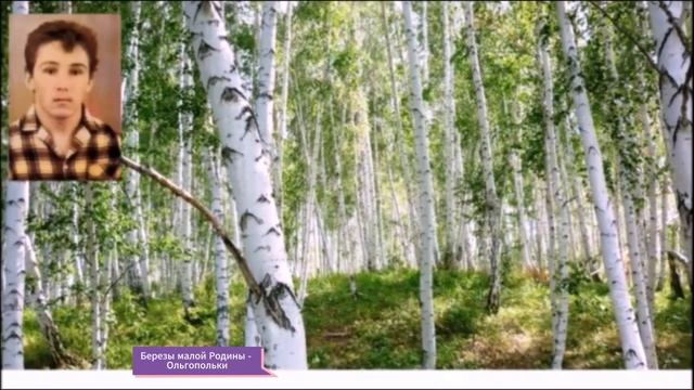 Березы малой Родины - Ольгопольки