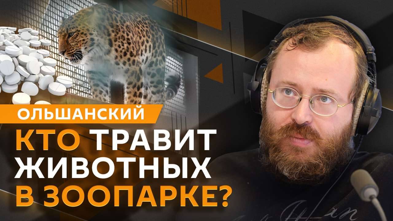 Дмитрий Ольшанский. Встреча в Стамбуле и кризис в НАТО