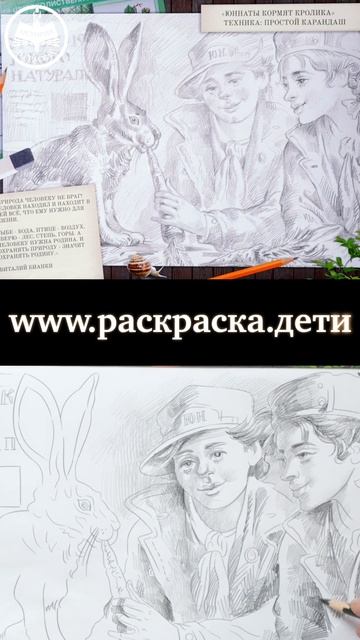 Хочу быть Юннатом! Видеоурок "Юннаты кормят кролика" техника- простой карандаш