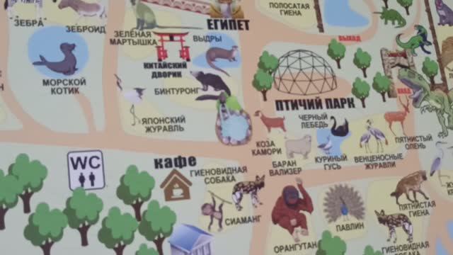 Сафари парк в Краснодаре но по такой цене