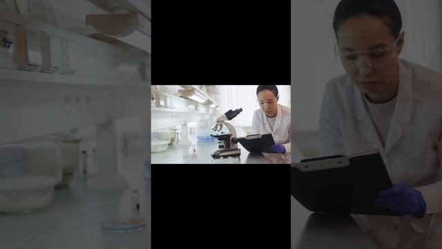🌴 Санья — тропический рай Китая. Пляжи, русский след и запретные острова #Санья #Хайнань #Китай